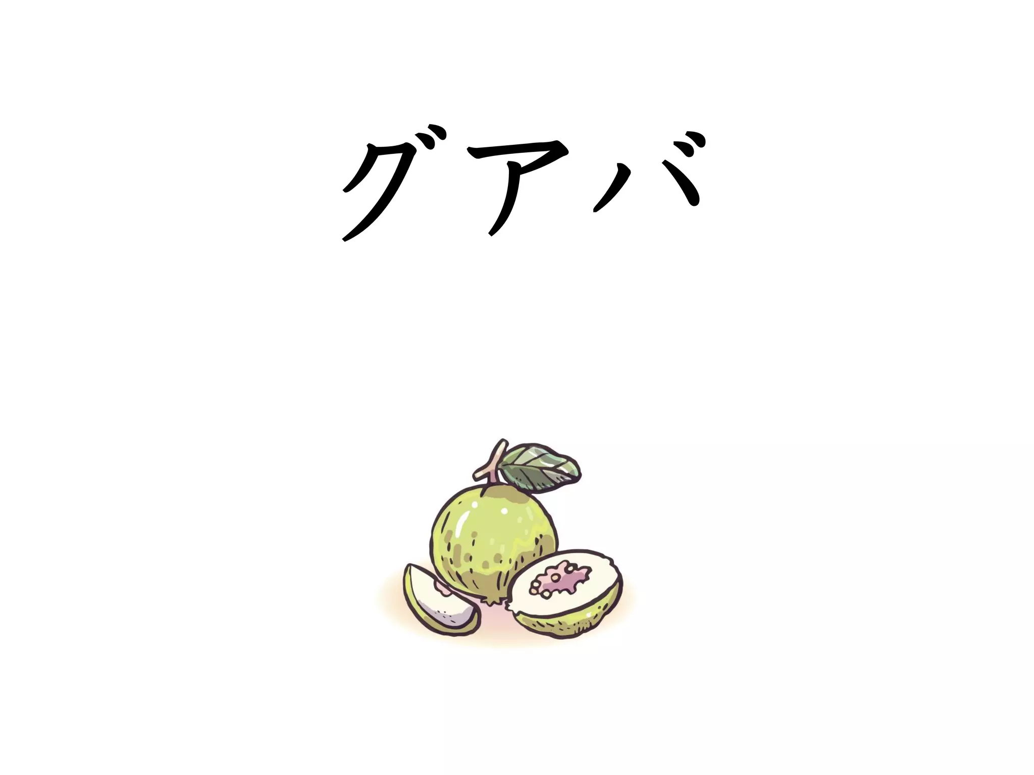 Katakana kotoba card | PDF