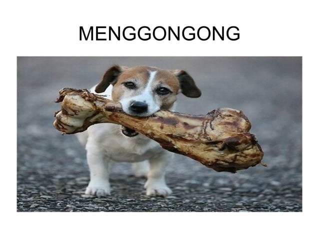 Kata kerja 1 | PPT | Free Download