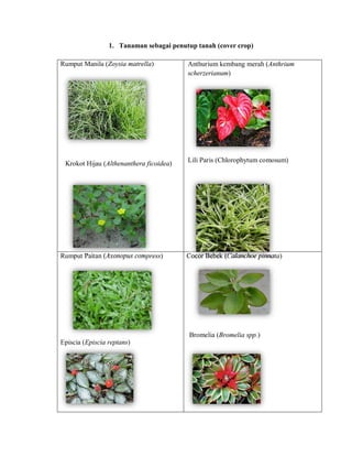 Katalog hias autosaved_ | PDF