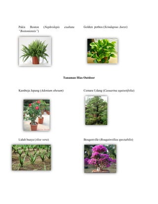 Katalog hias autosaved_ | PDF