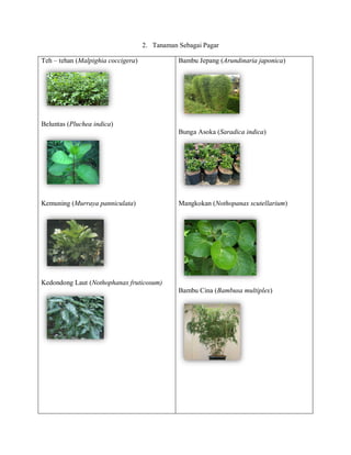 Katalog hias autosaved_ | PDF