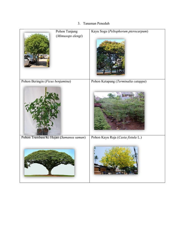 Katalog hias autosaved_ | PDF