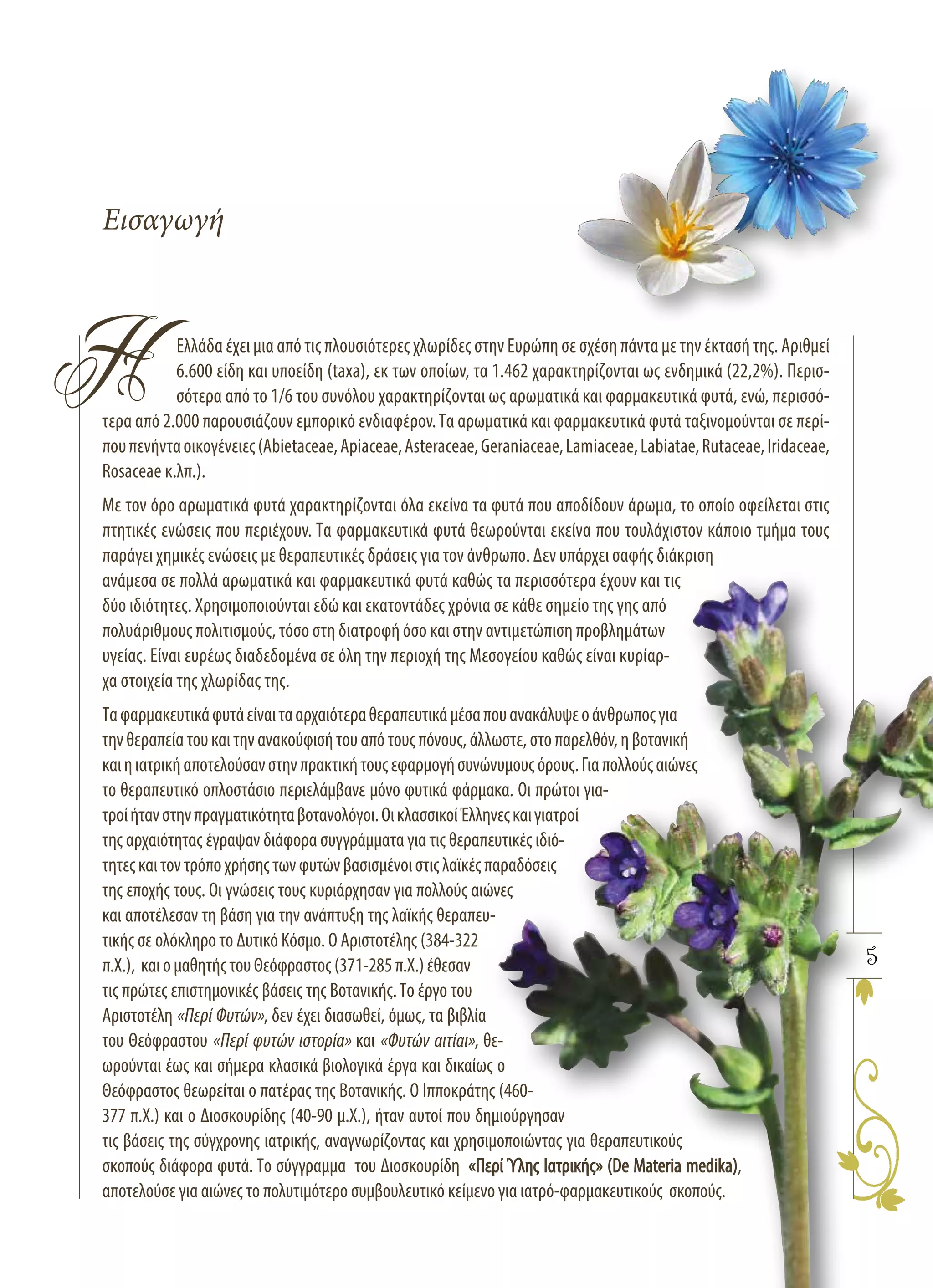 List of herbs | PDF
