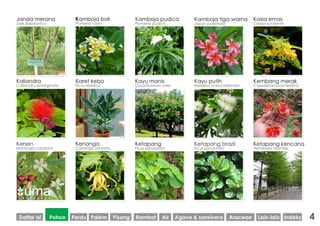 Katalog Uma Landscape.pdf