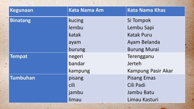 kata nama am dan khas nota.ppt
