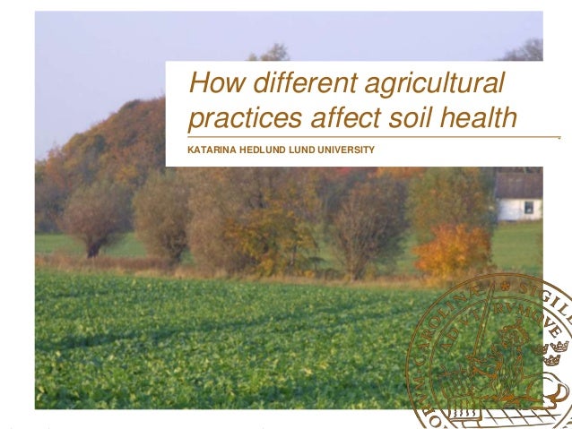 Different Types Of Agricultural Practices