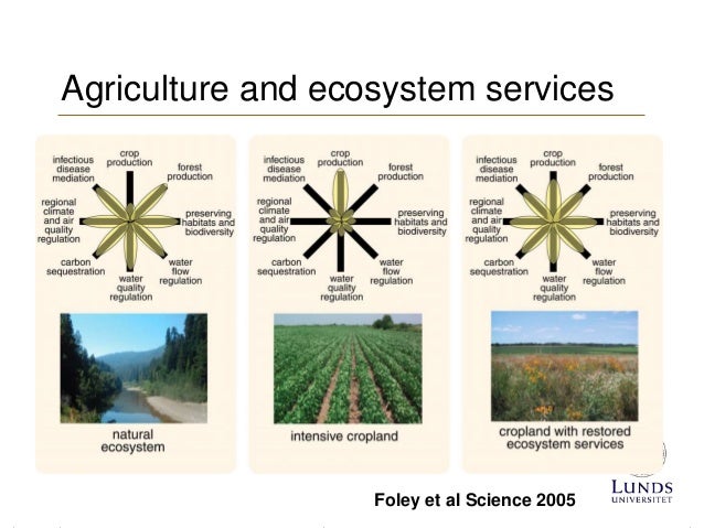 Different Types Of Agricultural Practices