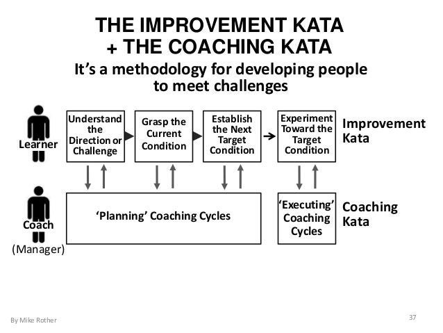 Kata Slides & Graphics v4.1 | PPTX | Science