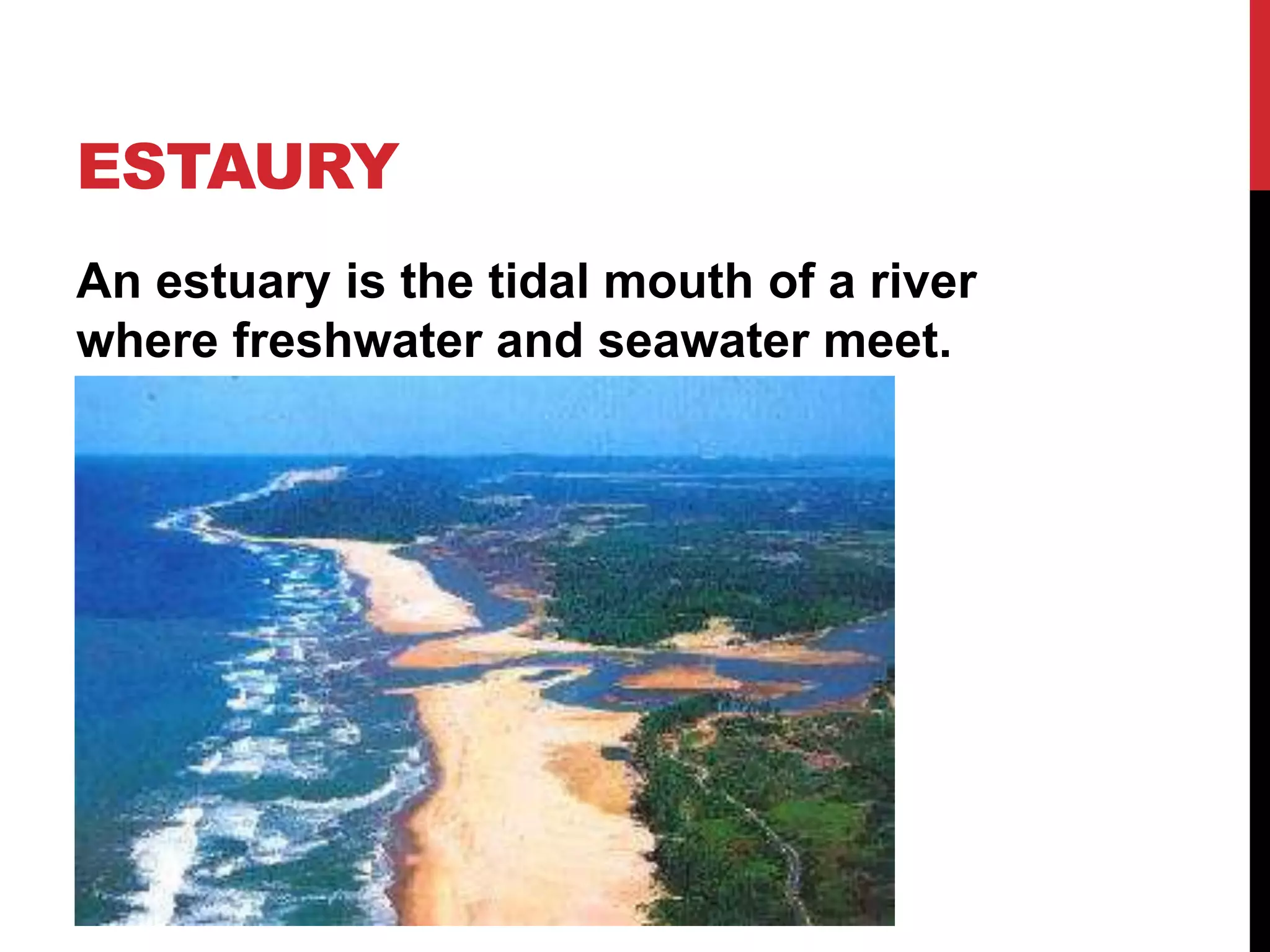 Around Our Coast | PPTX