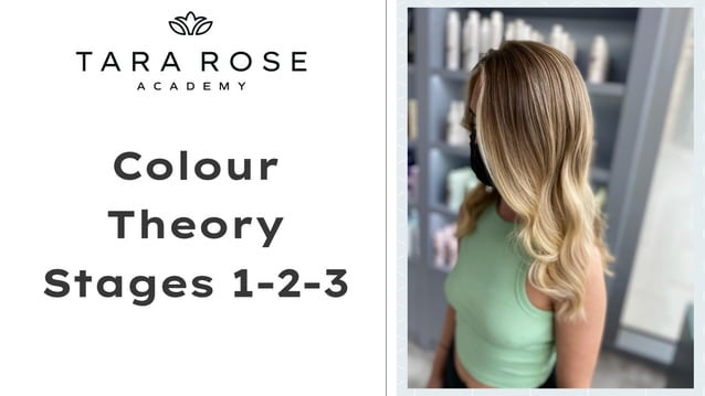 Blonde Theory in Hair colour and salon work | PDF | Hair Care | Beauty