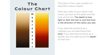 Blonde Theory in Hair colour and salon work | PDF