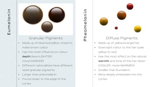 Blonde Theory in Hair colour and salon work | PDF