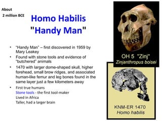 Kate early man ppt | PPT | Geology | Science