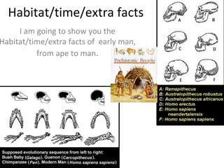 Kate early man ppt | PPT