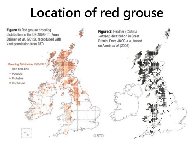 The economic value of grouse hunting in the UK