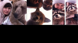 Katerina Plotnikova | PPT