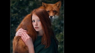 Katerina Plotnikova | PPT