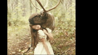 Katerina Plotnikova | PPT