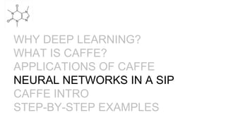 DIY Deep Learning with Caffe Workshop | PPT