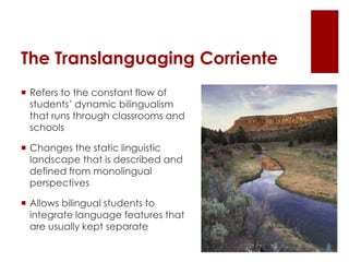 Ways to teach and collaborate in superdiverse schools | PPTX | Education