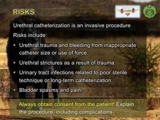 Urethral Catheterization | PDF