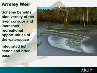 Katherine Pygott ARUP | PPT