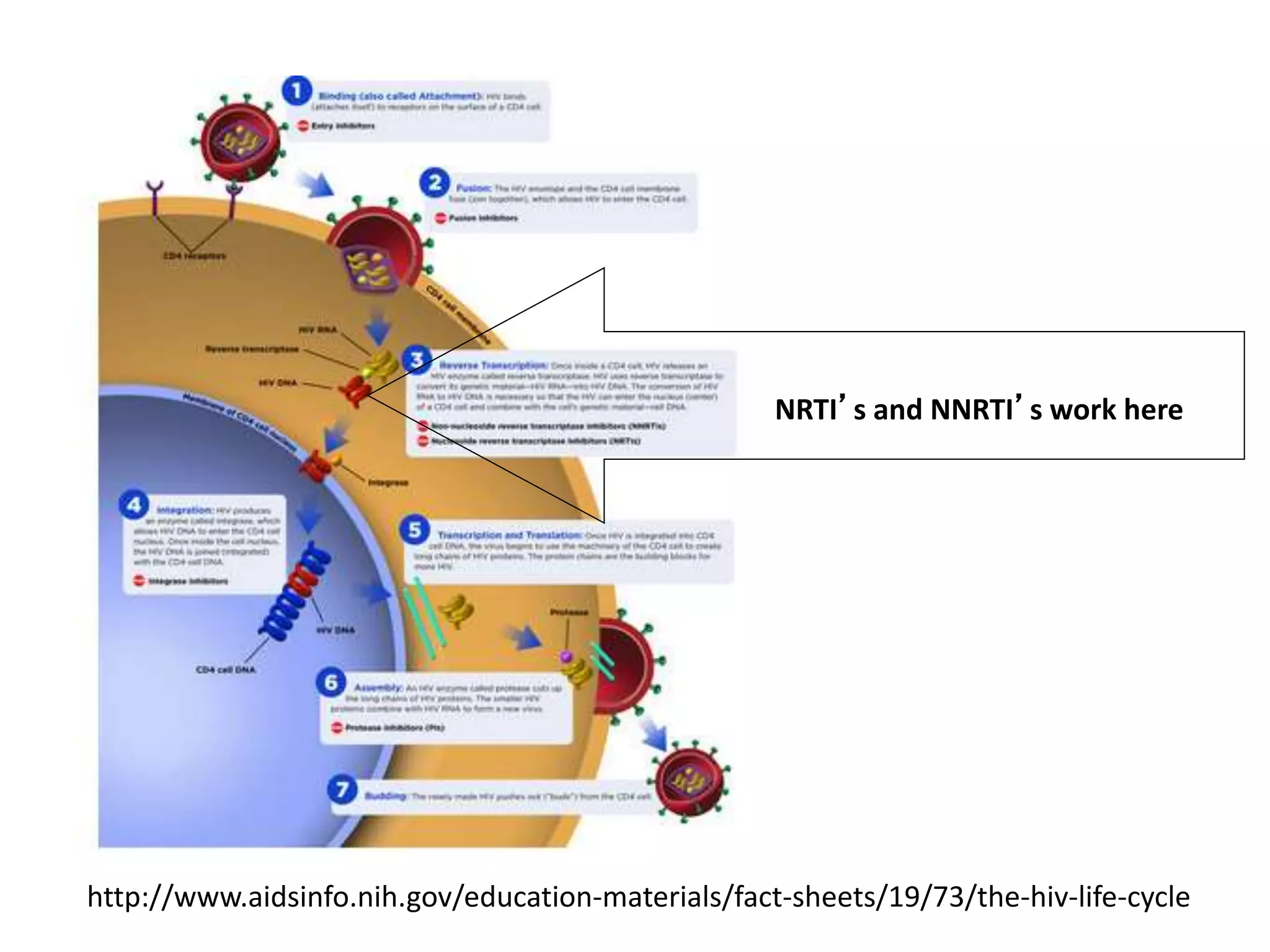 PrEP: Pre-exposure Prophylaxis | PPTX
