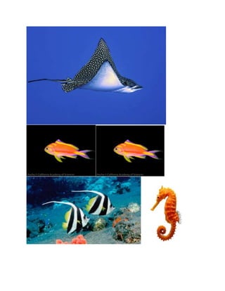 kathir art sat.docx