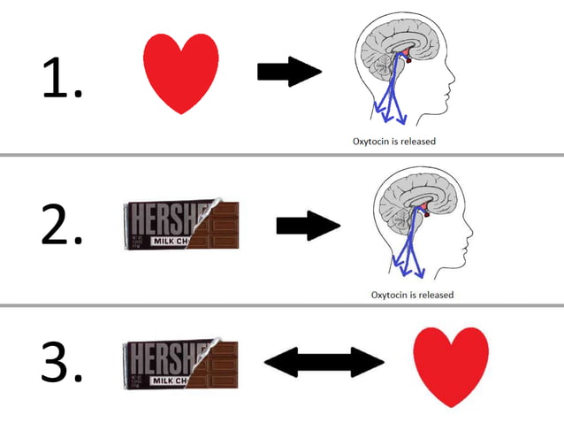 The scientific side of chocolate | PPT