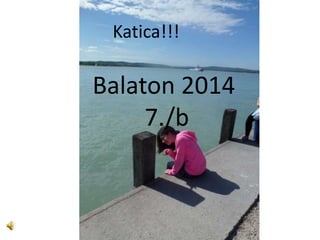 Katica!!! | PPTX | Photography | Arts and Crafts