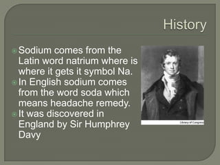 Sodium (Katie Carrico) | PPTX | Chemistry | Science