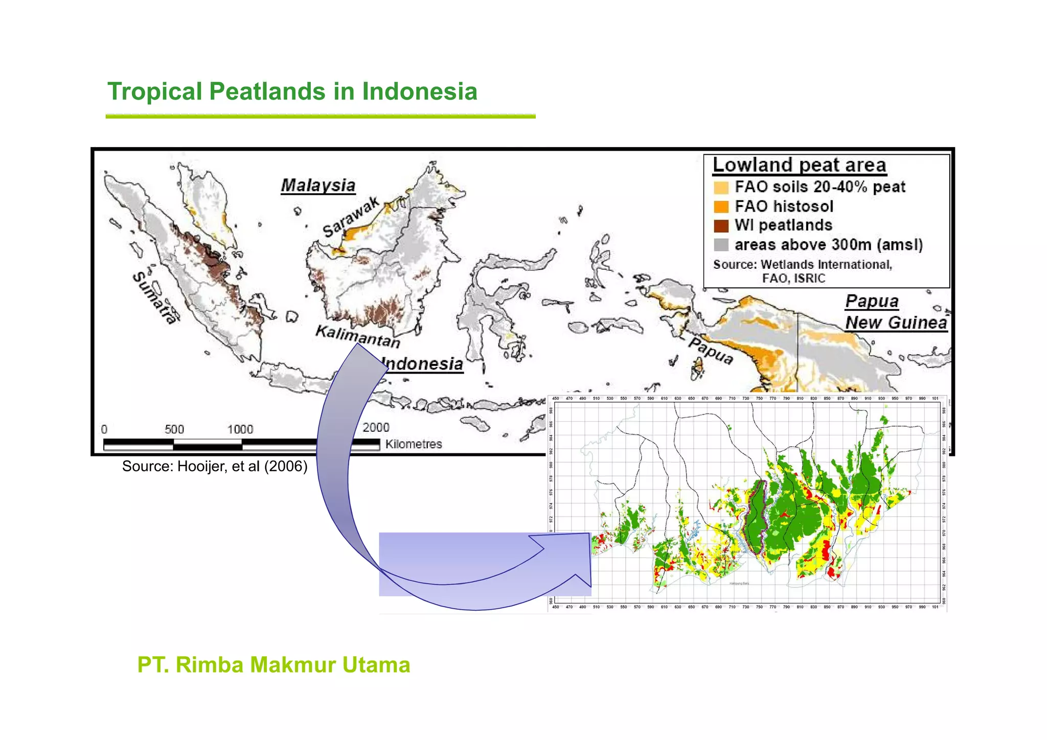 Katingan peat restoration and conservation project - Central Kalimantan ...
