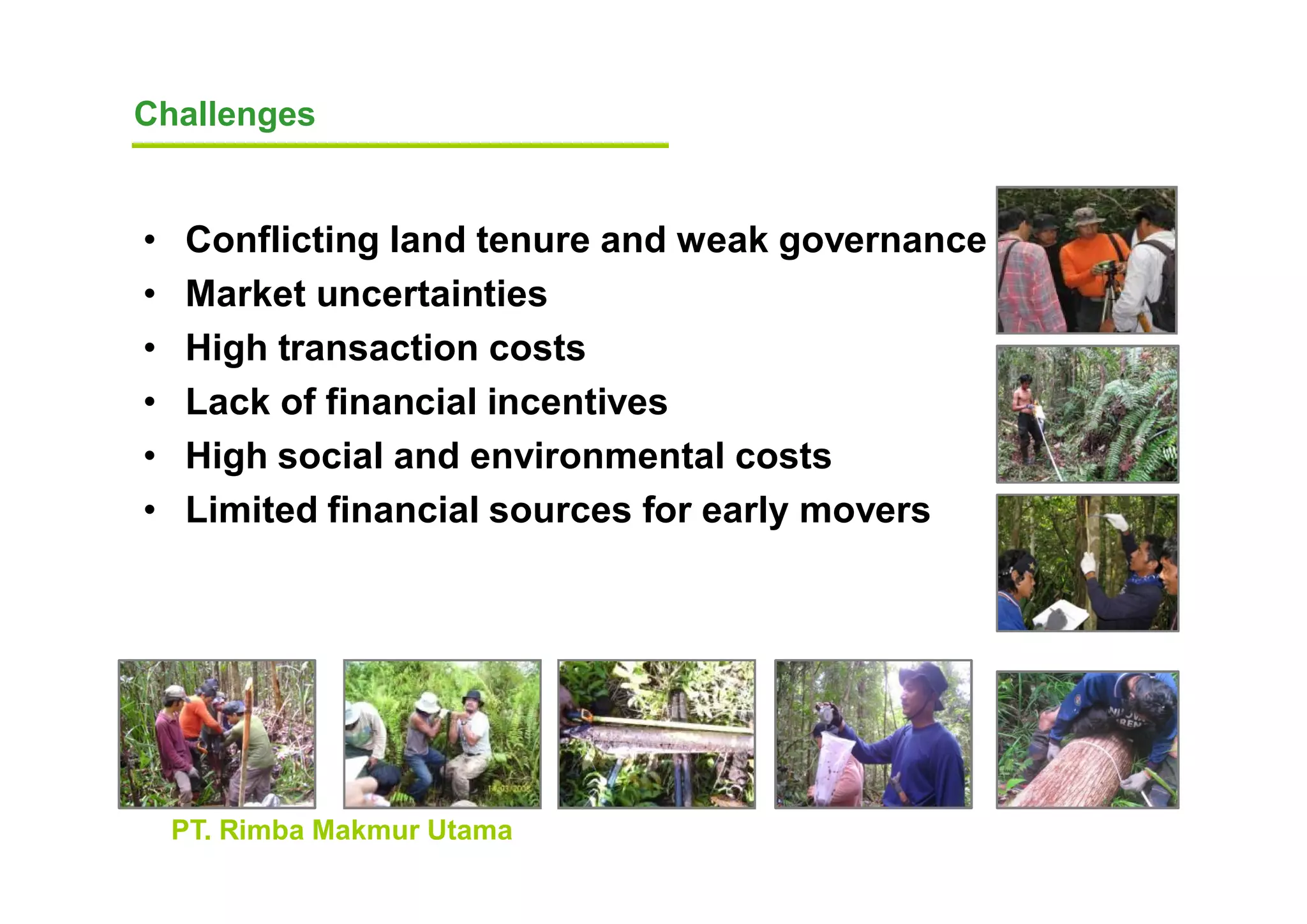 Katingan peat restoration and conservation project - Central Kalimantan ...