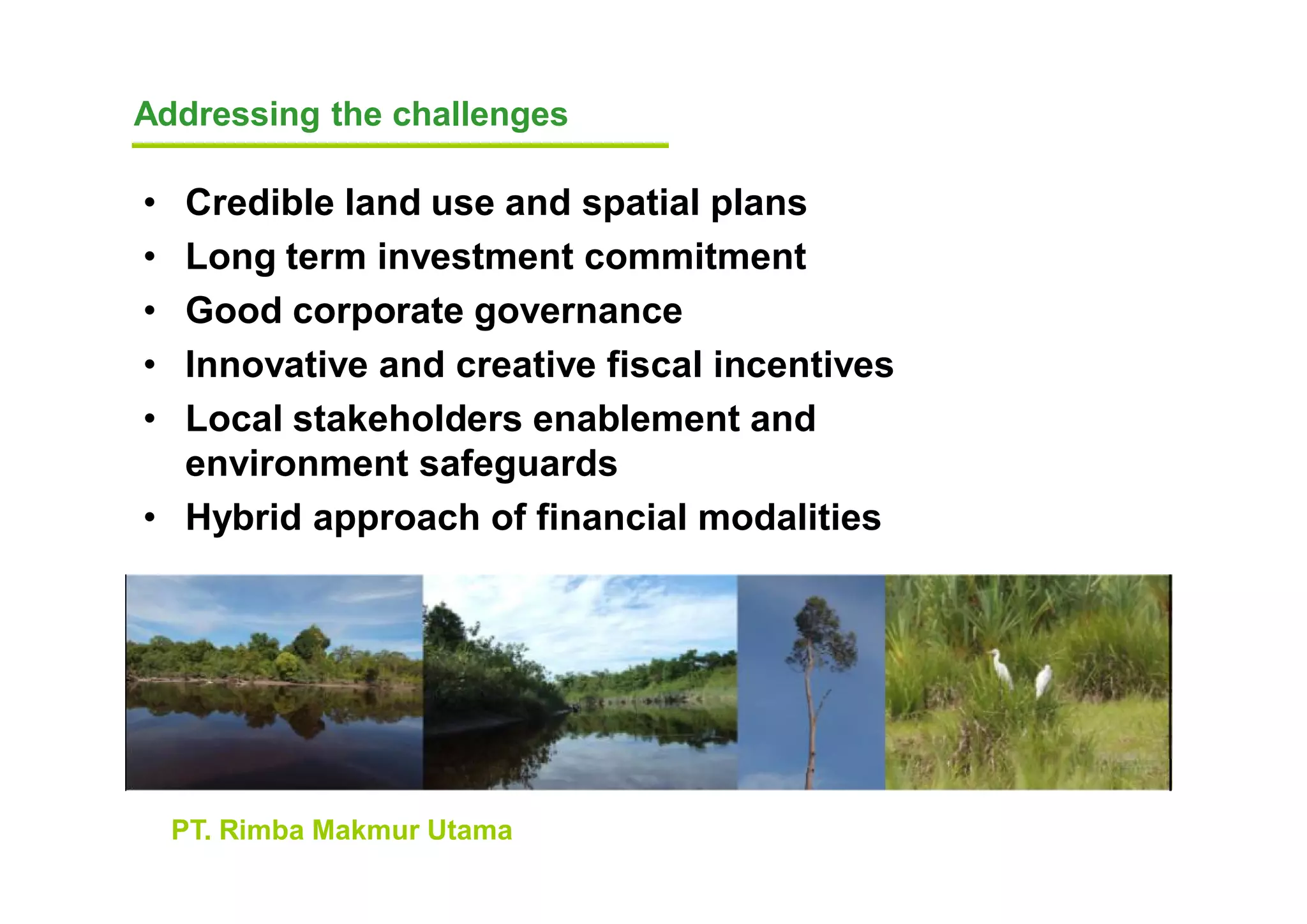 Katingan peat restoration and conservation project - Central Kalimantan ...