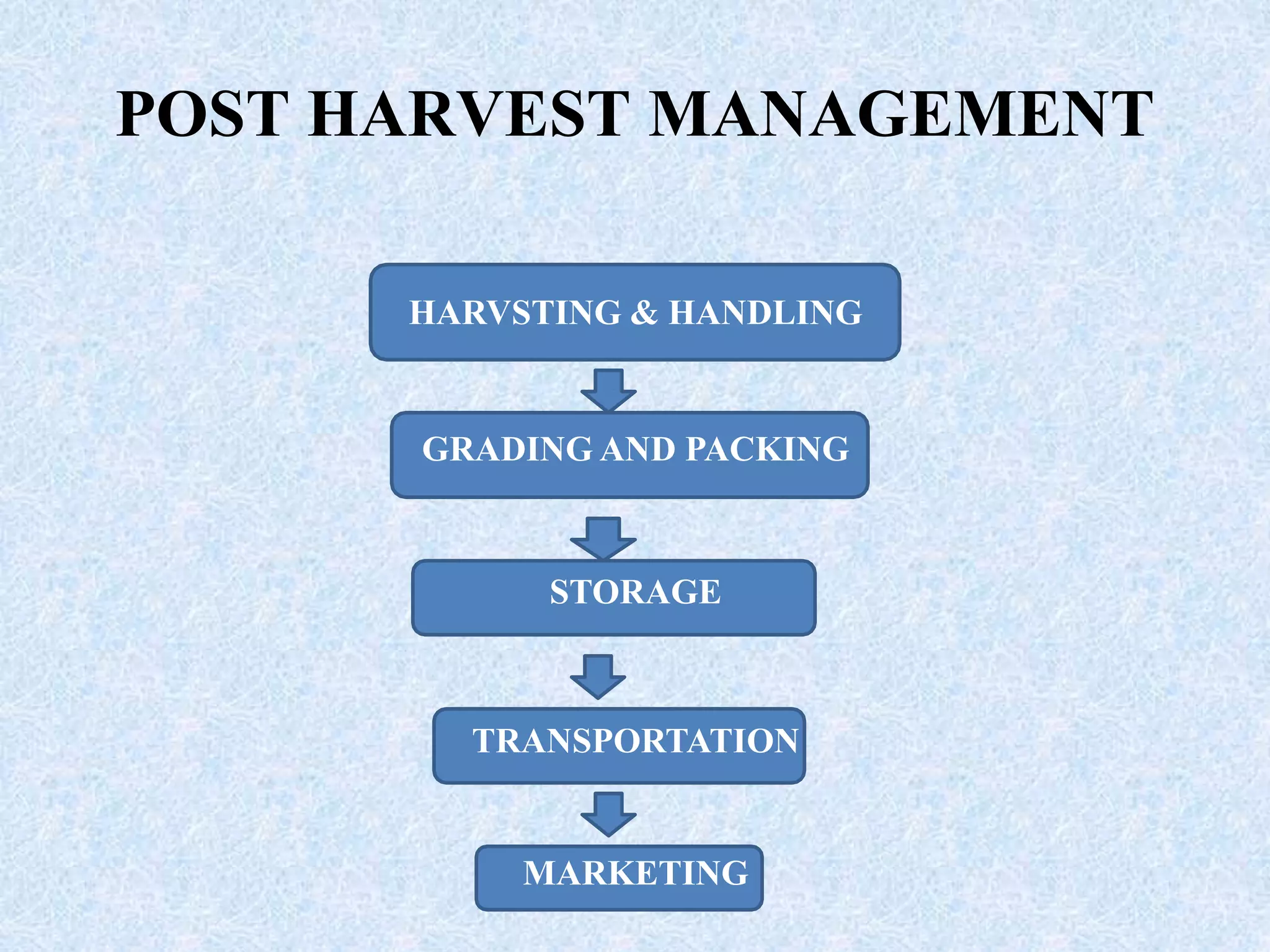 GUAVA PROCESSING | PPTX