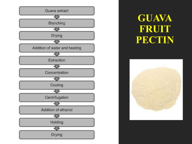 GUAVA PROCESSING | PPTX