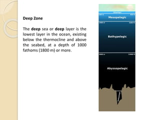 Grade 11 Chapter 4 Module Earth Science : Water Resources | PPTX