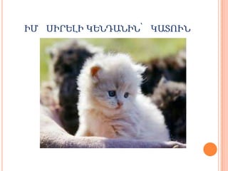 Katu | PPT