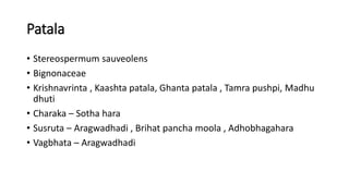 Katuki, khadira, pashana bheda, patala | PPT