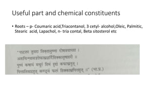 Katuki, khadira, pashana bheda, patala | PPT