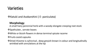 Katuki, khadira, pashana bheda, patala | PPT