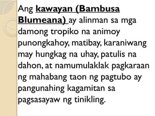 Ang Katutubong Sayaw at mga Kasanayan nito | PPTX