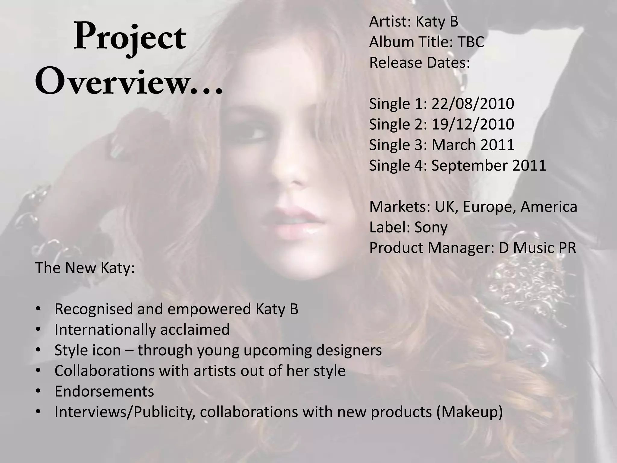 Katy b presentation | PPTX