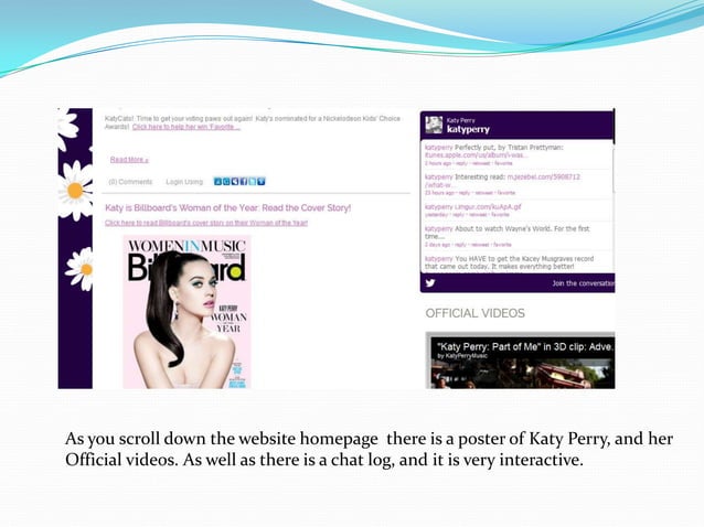 Katy perry Website Analysis | PPT