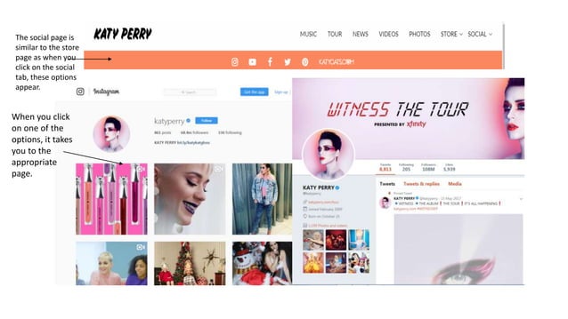 Katy perry website analysis | PPTX