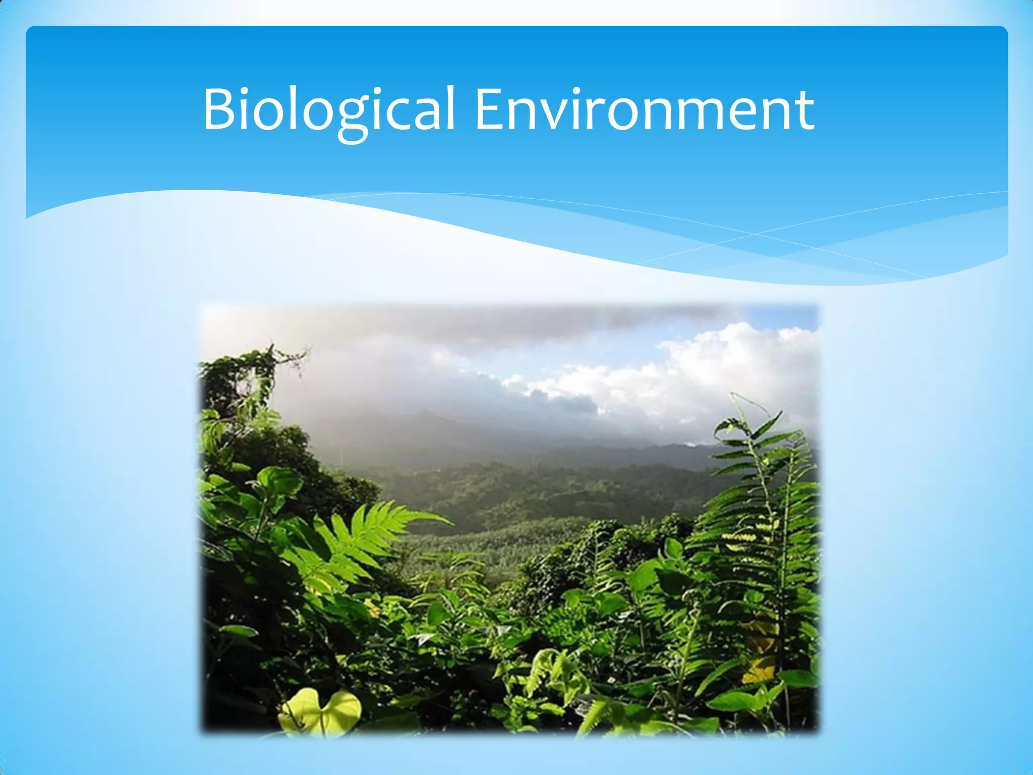 Mock EIS Presentation | PPT