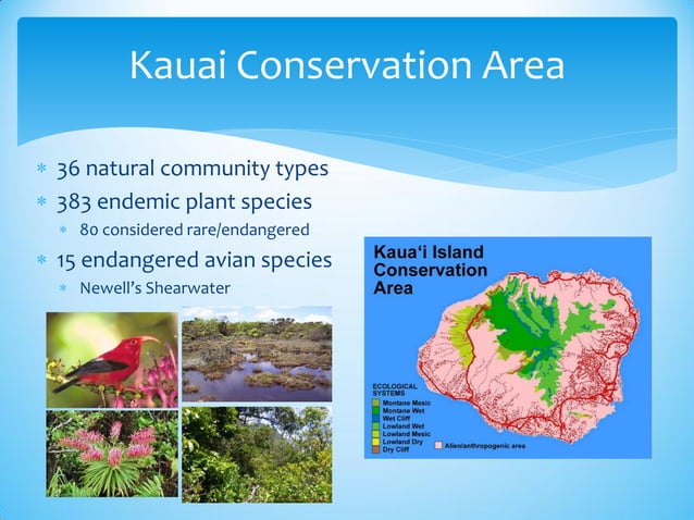 Mock EIS Presentation | PPT