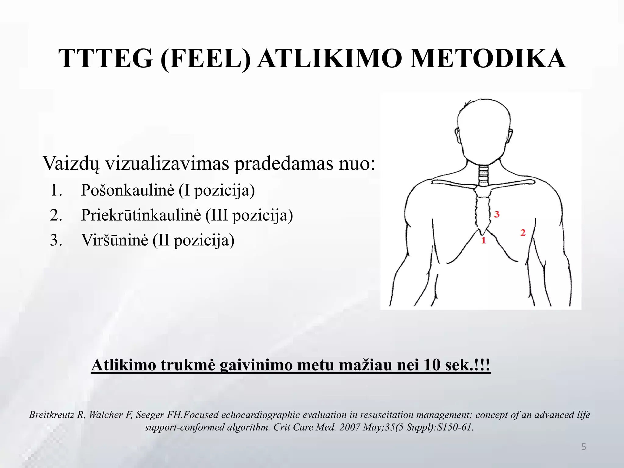 Kauno ECHO 2015 FEEL | PPT