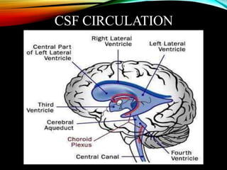 CSF physiology | PPTX