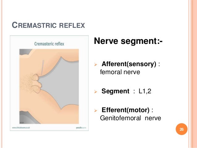 method of physical examination of central nervous system